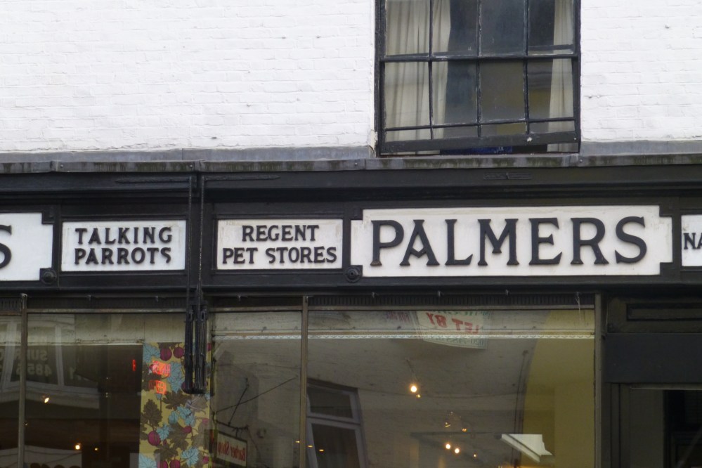 The old pet shop in Camden Town | Nicky Grace Vintage Fabric & Gorgeous ...
